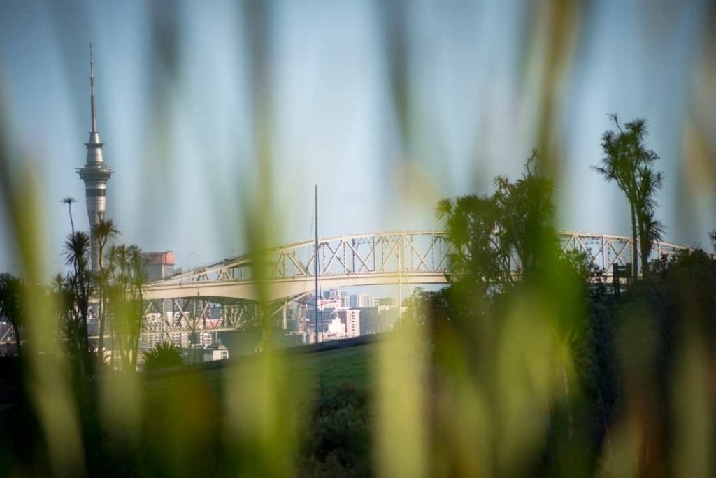 Luca Kornelia Kosa: Afternoon walk across Little Shoal Bay Reserve ...