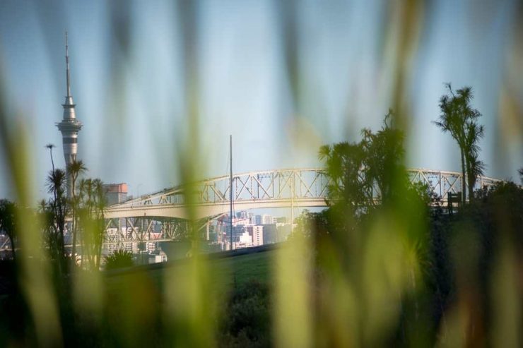 Luca Kornelia Kosa: Afternoon walk across Little Shoal Bay Reserve ...